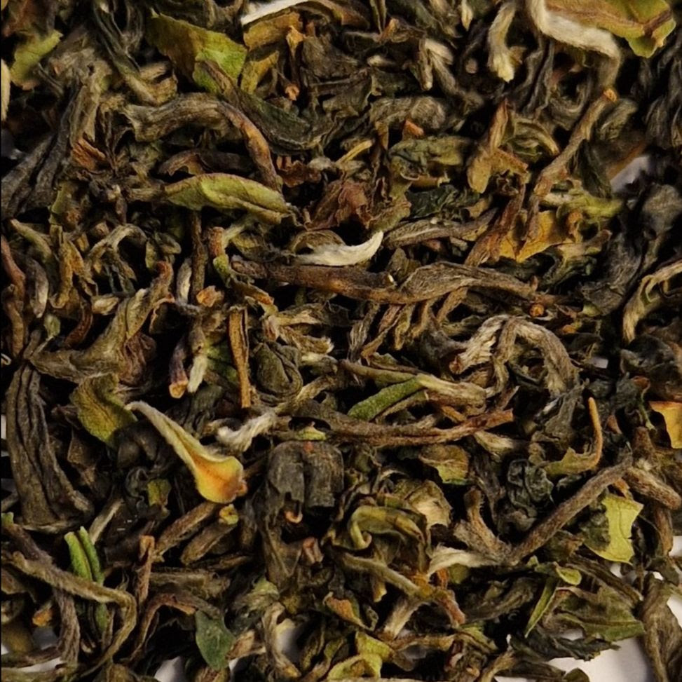 **New** 2023 First Flush Darjeeling